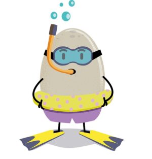 LAST DAY OF THE 2024 SEASON AT THE BALLY COMMUNITY POOL – Bally Borough